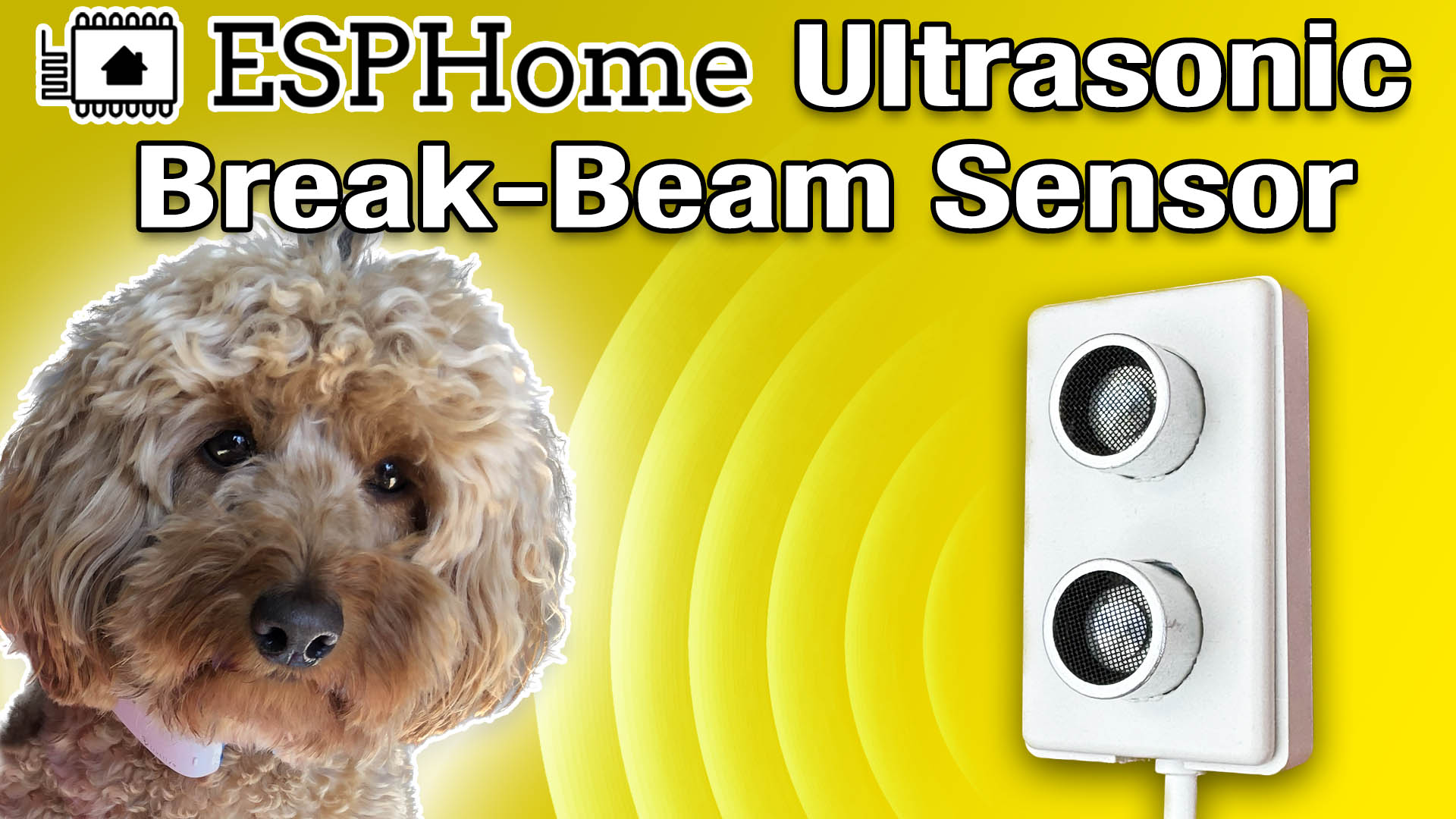 ESPHome Ultrasonic Break-Beam Sensor « Speak to the Geek